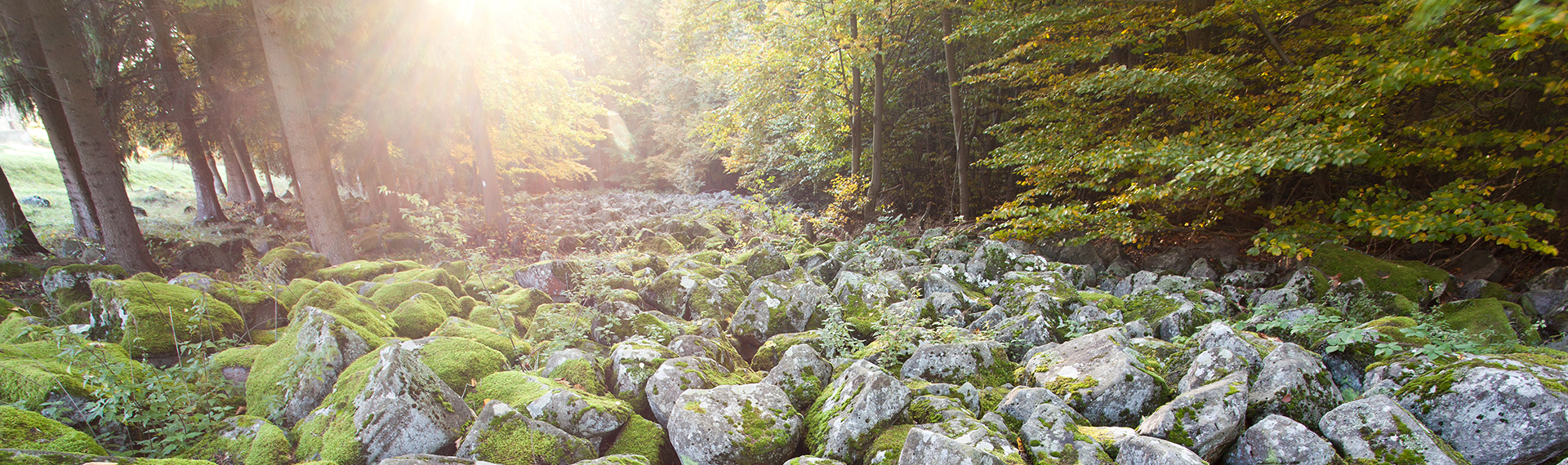Úti célok - Slovakia.travel